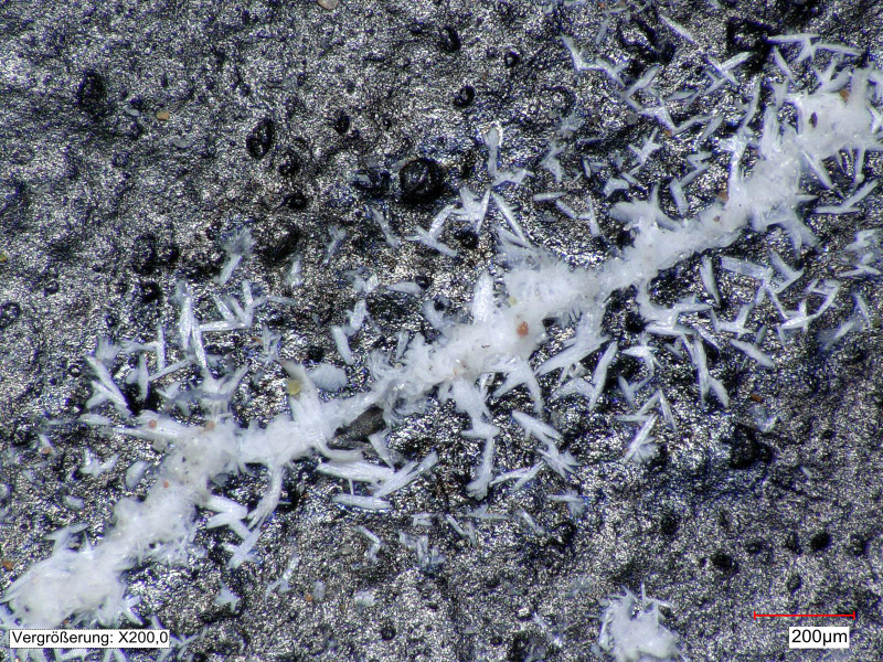 Use of a digital microscope for quality testing of structural clay ...